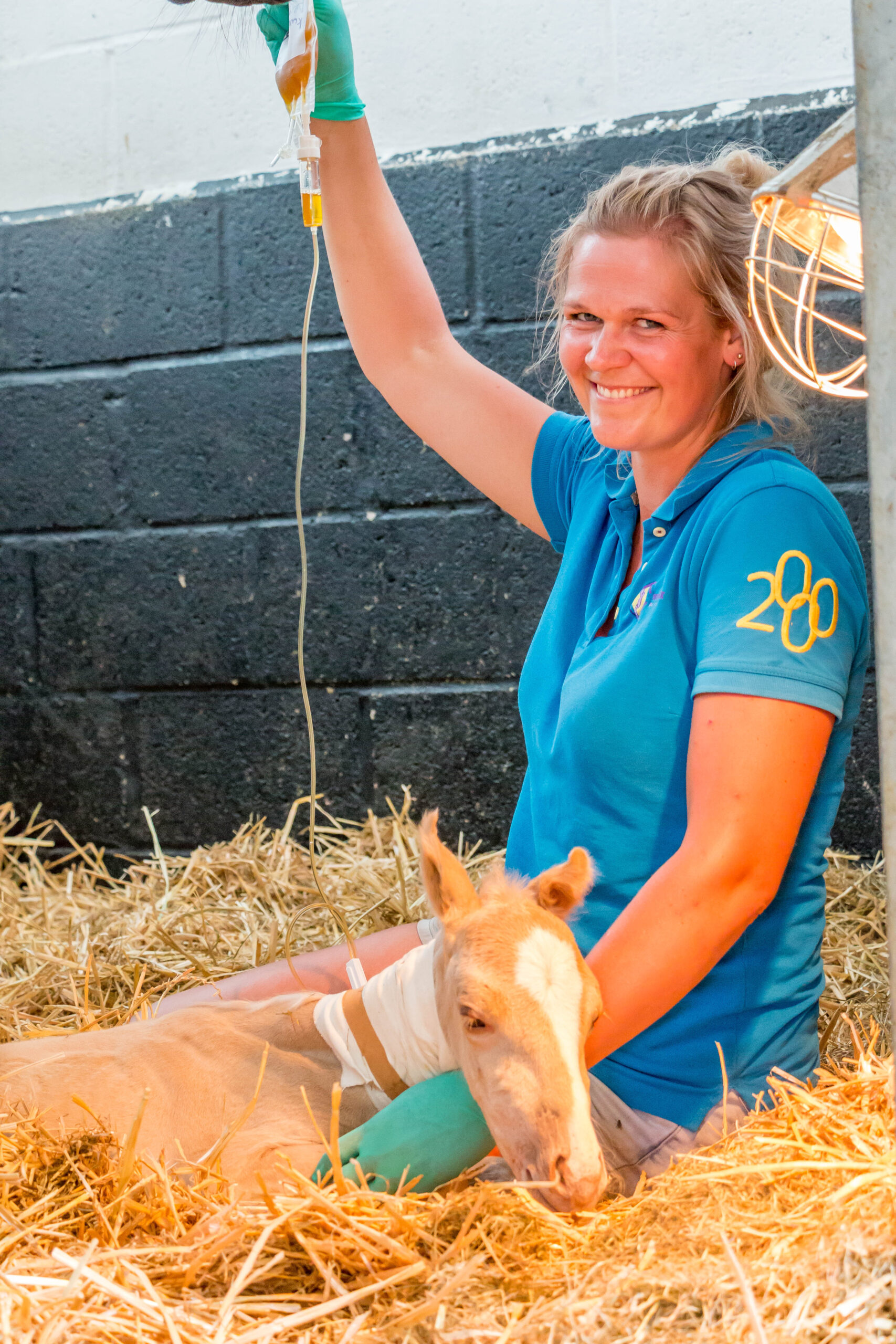 Our team | Dierenartsen - Paarden kliniek Wolvega EN