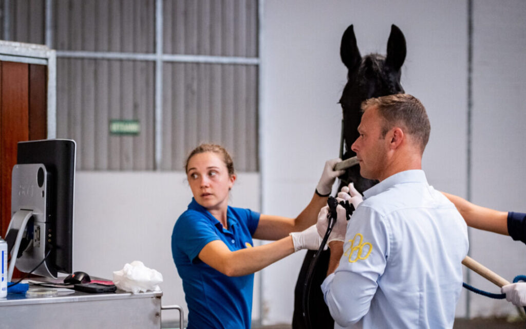 Werken bij | Vacatures | Stagelopen