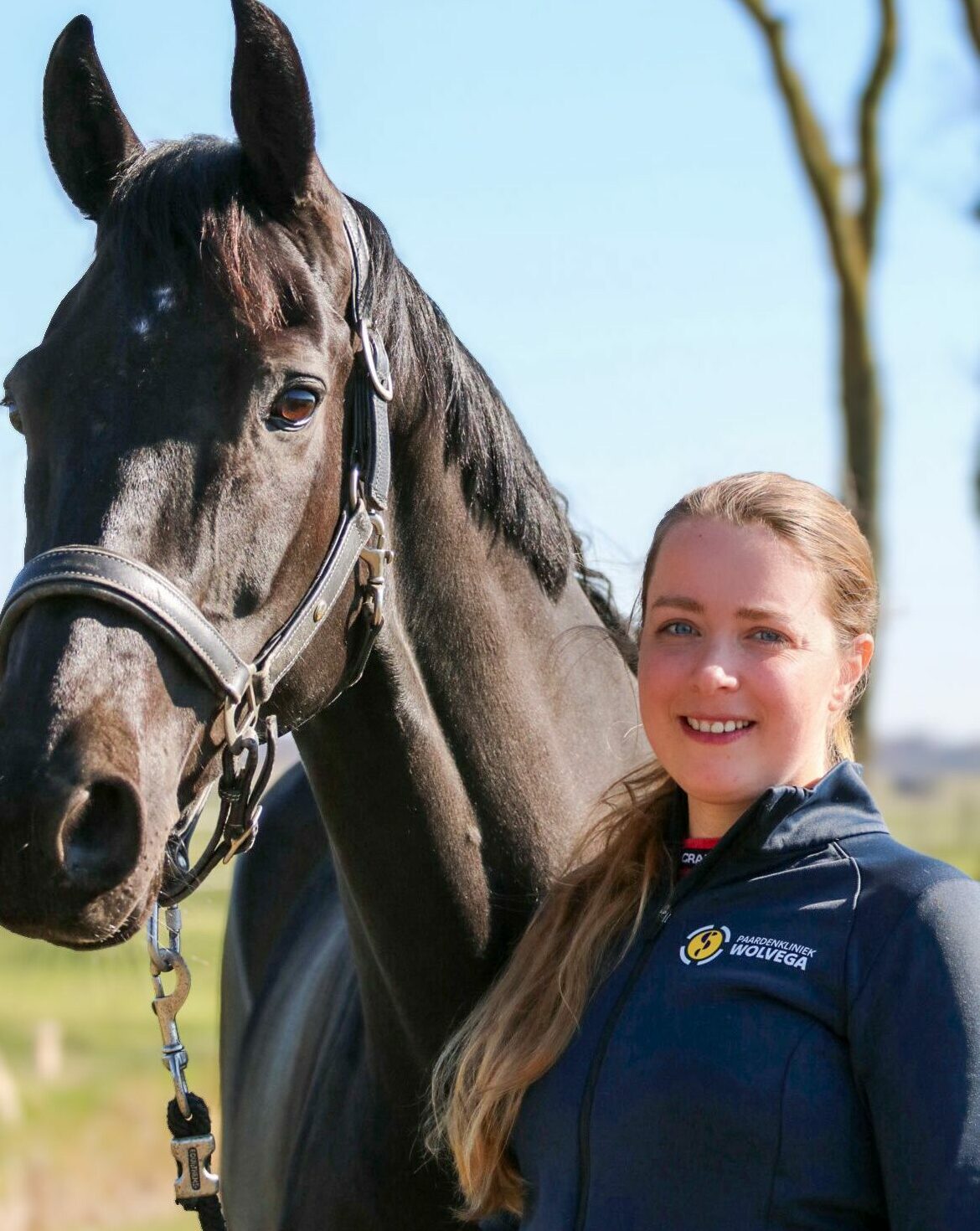Ons team | Dierenartsen - Paardenkliniek Wolvega